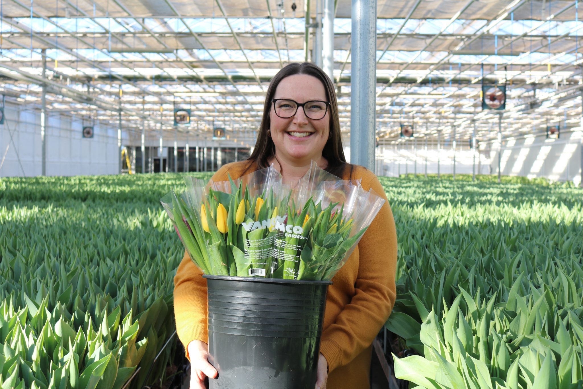 QEH FoundationTulips for the QEH Foundation • QEH Foundation